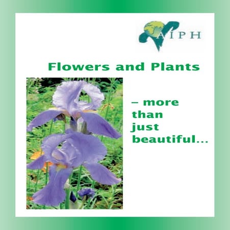 Flowers and Plants: More Than Just Beautiful | PDF