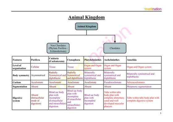 Classification Of Animal Kingdom Nonchordates And Chordates CBSE Class