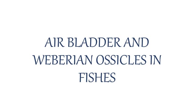 Fish vertebral column | PPTX