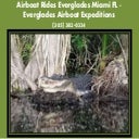 Miami Everglades Tours | PPT
