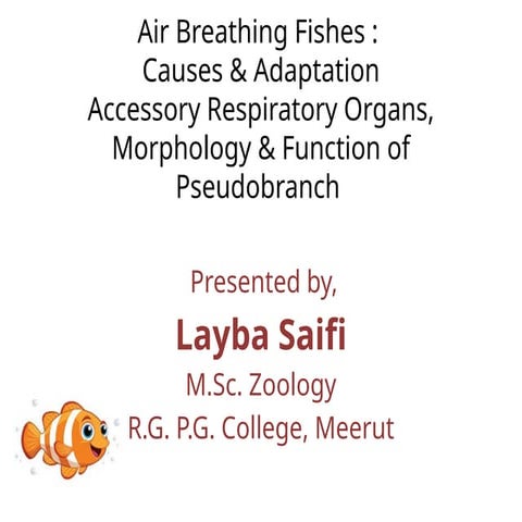 AIR BLADDER-FUNCTIONS.pptx