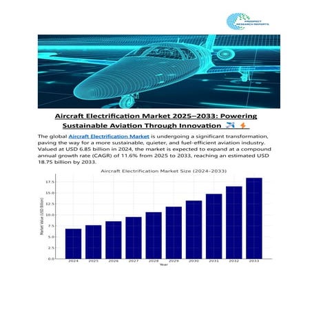 Flying into the Future: Aircraft Electrification Market Forecast & Key Players (2025–2033) | PDF