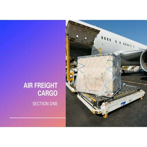 Air Freight Cargo.pdf