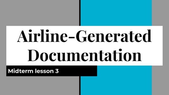 Flight safety doc system | PDF