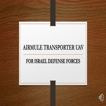 Airmule | PPTX