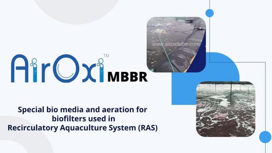 Advantages of Water Aeration in Aquaculture Over Traditional Methods | PPTX