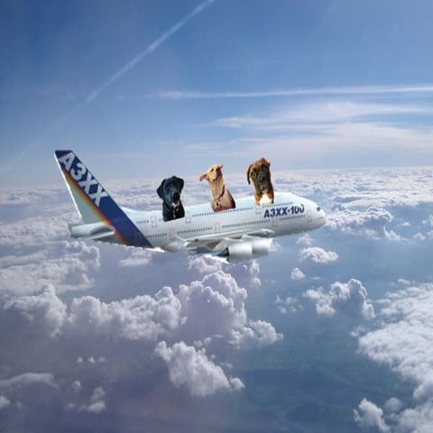 Airplane slide 2 | PPT