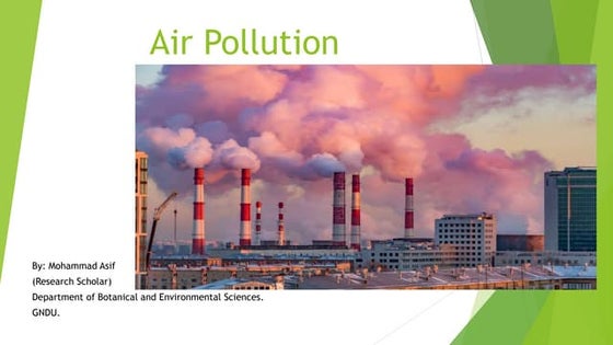 Effect of air pollution on human health | PDF | Lung and Respiratory ...