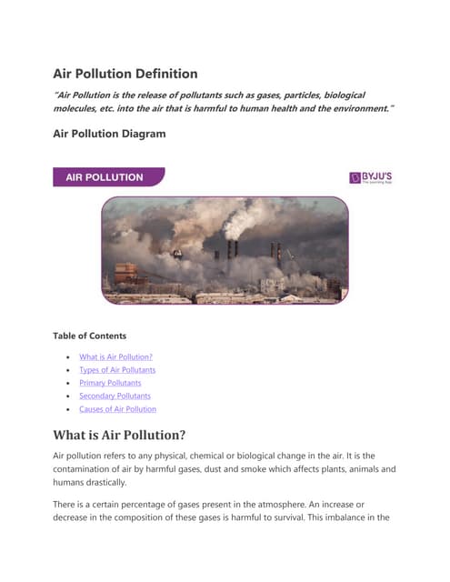 Pollution - Environmental Studies Project | PDF