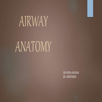 Anatomy of airway | PPT