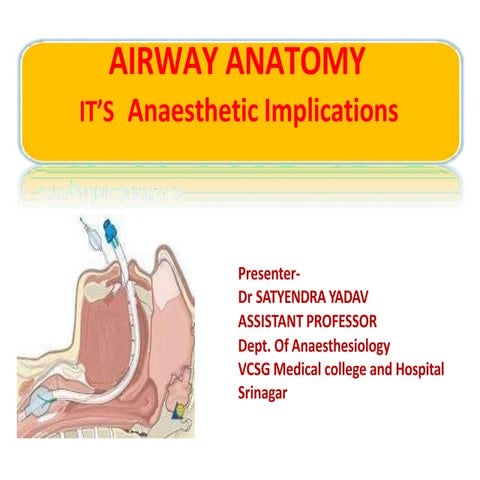 airway anatomy 1.pptx