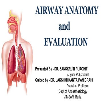 Airway Anatomy & Evaluation PPT.pptx