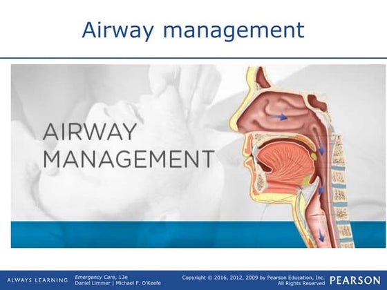 Anatomy of Pharynx & Larynx | PPT