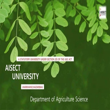Spices and Vegetables Scientific Names info | PDF
