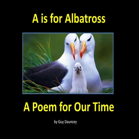 A is for Albatross | PPT