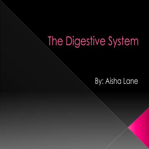 The structure and function of the digestive system | PPT