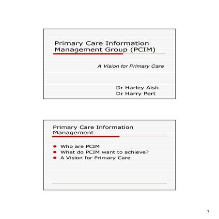 PCIM - A Vision for Primary Care | PDF
