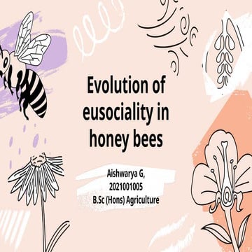 Evolution of eusociality in Honey bees.pptx