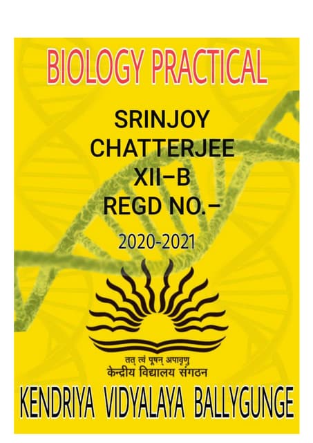 Presentation on family tree of shivaji maharaj | PPT