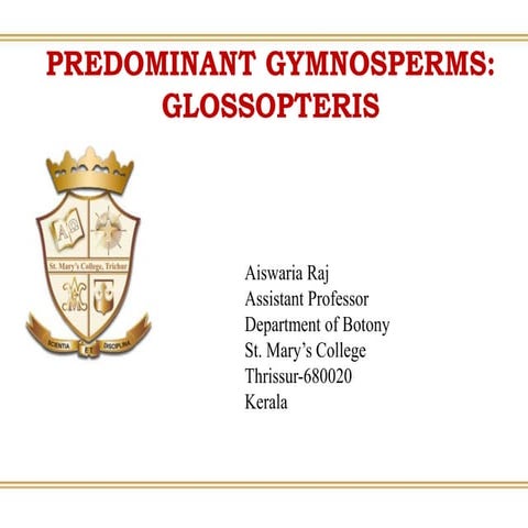 gymnosperm, Glossopteridales, Glossopteris | PPTX