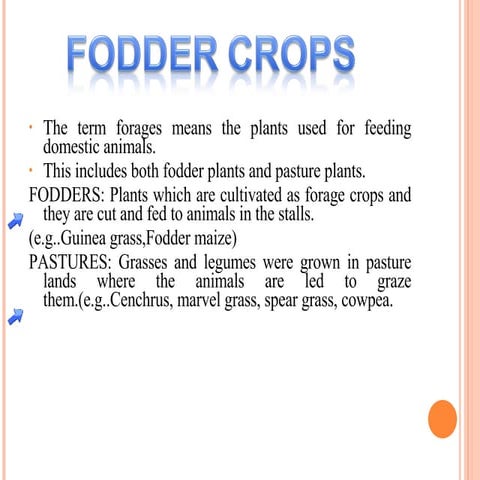fodder crops | PPT