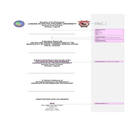 AIT Narrative Report Guide 2013 1 | PDF