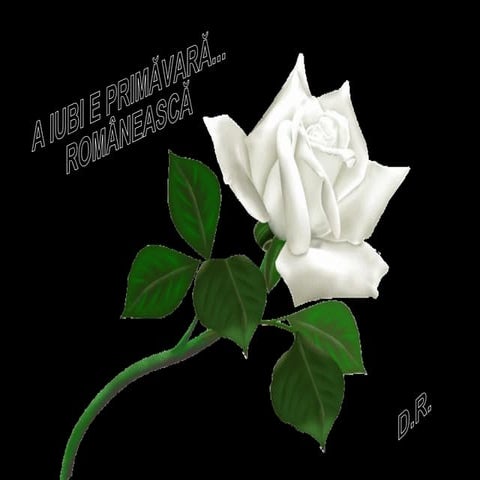 A Iubi E Primavara | PPS