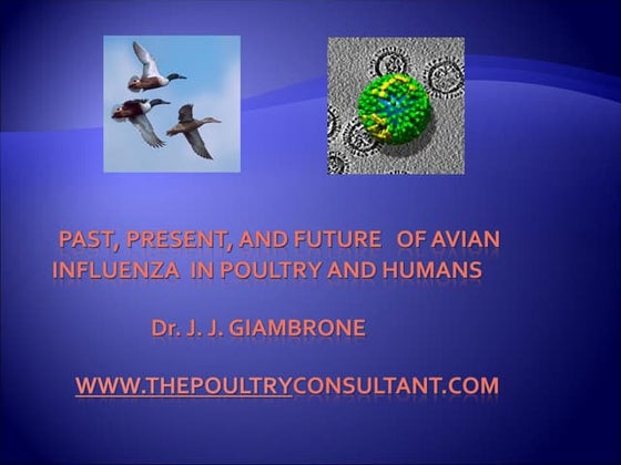 Vaccination in poultry | PDF | Infectious Diseases | Diseases and ...