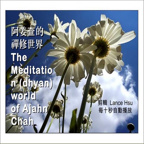 Meditation World of Ajahn Chah (with Music) | PPS