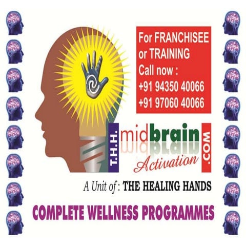 Reiki Midbrain DMIT | PPTX | Physical Therapy | Wellness