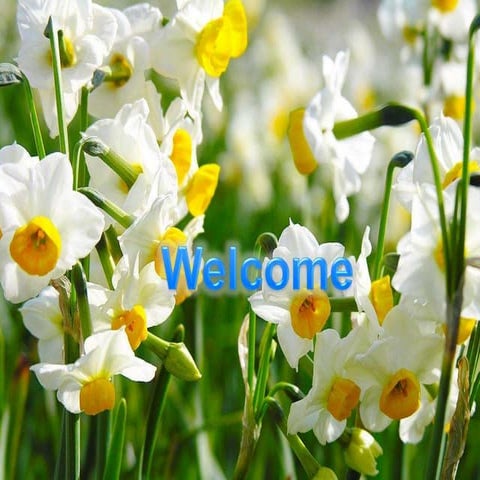 Cultural methods for pest control . pptx | PPTX