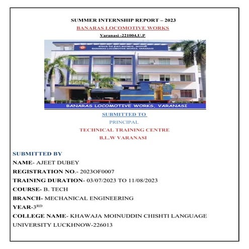 Blw summer training report Mechanical LAS LFS HWS EEE CTS TR | PDF