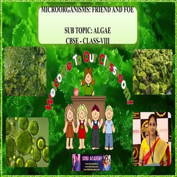 Microorganisms: Friend and Foe – Algae Chapter-2 Class 8- CBSE | PPTX