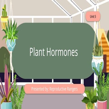 Plant Hormones presentation--Grade 12, term 3 | PPTX