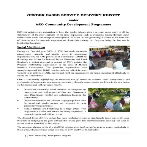 Ajkcdp report on gender final | PDF