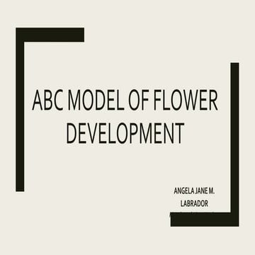 Abc model of floral development