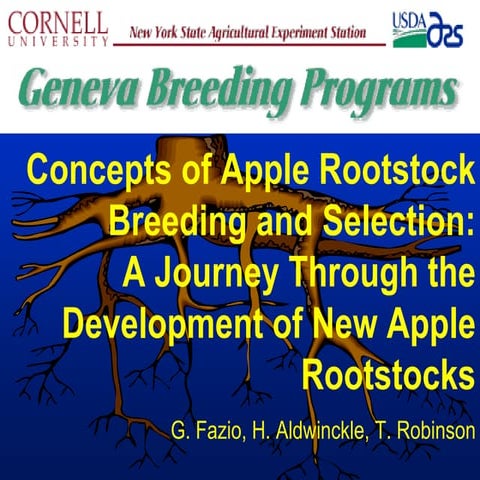 Apple Rootstock Selection | PDF