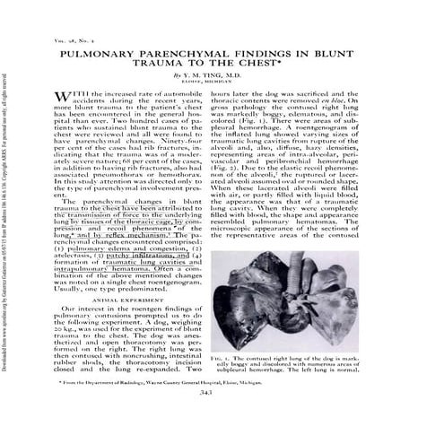 Ajr%2 e98%2e2%2e343 | PDF