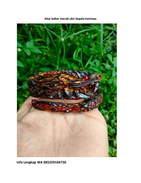 Akar bahar merah model C 1.docx