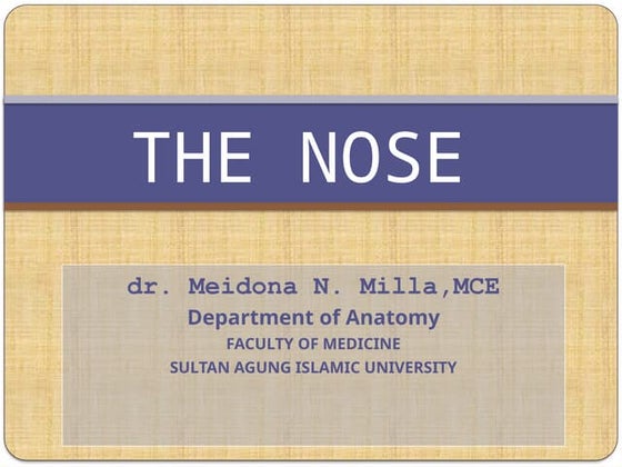 Nose | PPTX | Ear, Nose and Throat Conditions | Diseases and Conditions