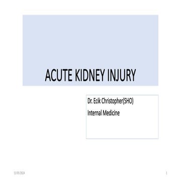 Acute Kidney Injury (AKI) Presentation.pptx