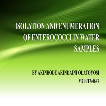 ISSOLATION AND ENUMERATION OF ENTEROCOCCI IN WATER SAMPLES | PPT