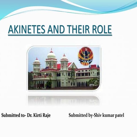 Akinetes and their role.pptx