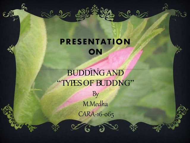 TYPES OF BUDDING | PPTX