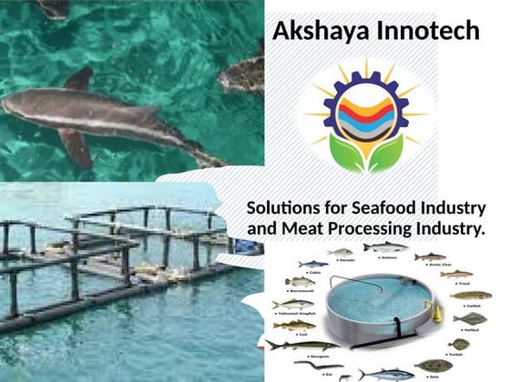 Patrick Mphephu Transnet Presents: South Africa's Indigenous Legacies | PPT