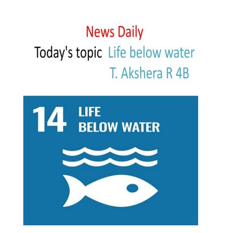 Sdg 14 presentation | PDF