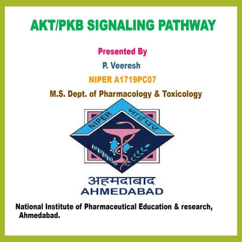 AKT/PKB SIGNALING PATHWAY | PPTX
