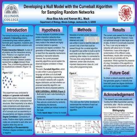 Curveball Algorithm For Random Sampling Of Protein Networks Ppt