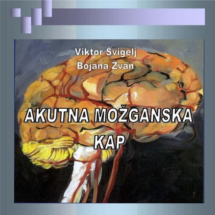 Akutna Mozganska Kap 2006 | PDF