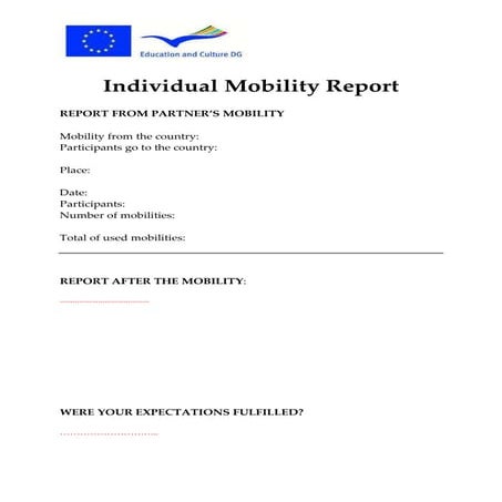 Al4ED template individual mobility report | DOC